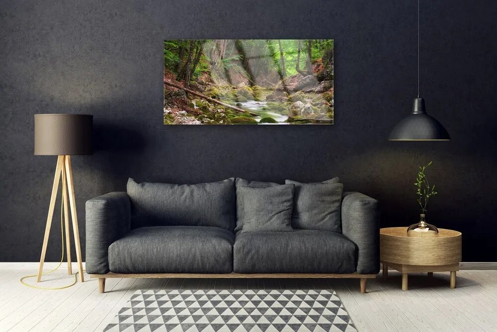 akrylový obraz Les Mech Příroda 100x50 cm