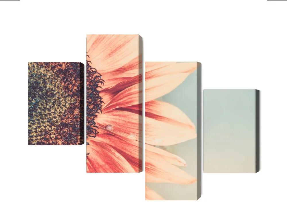 Vícedílný obraz Kvetoucí Slunečnice V Makro Měřítku Nedostatek Nedostatek Plátno Canvas 80x50