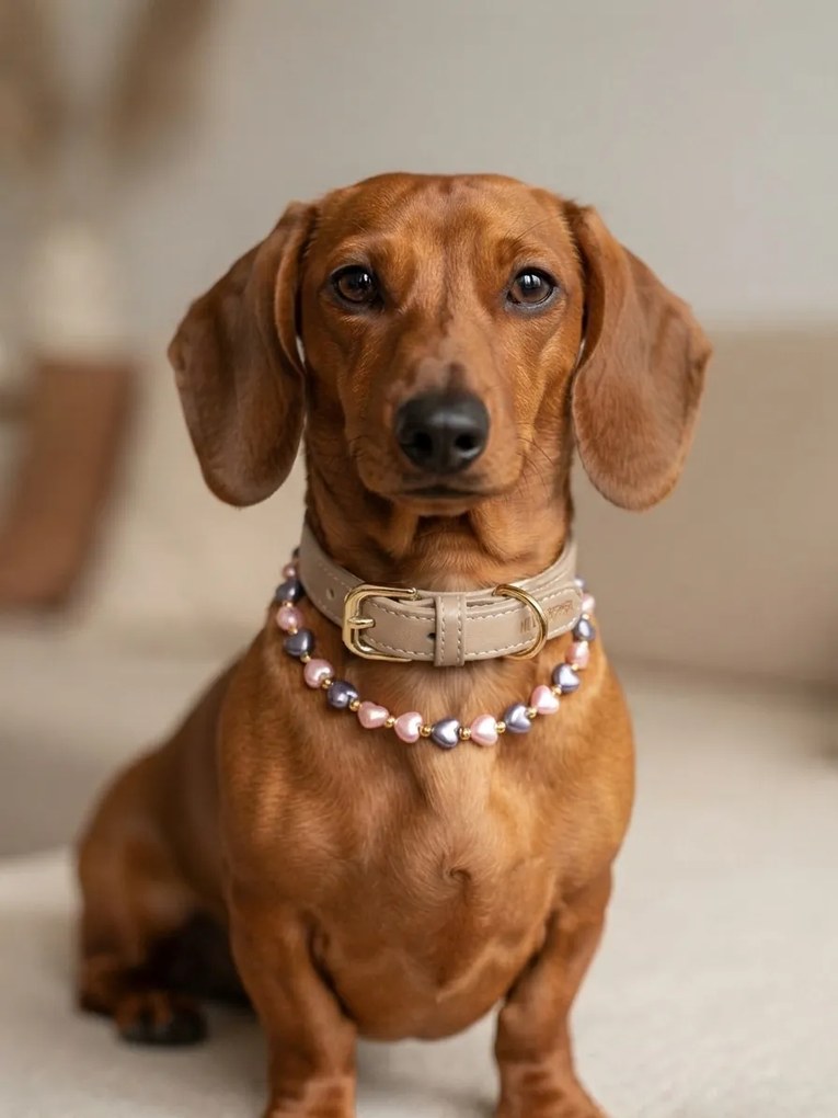 Pet Amour PA náhrdelník pro malé psy z perel srdíčko růžovo-fialový Velikost: S