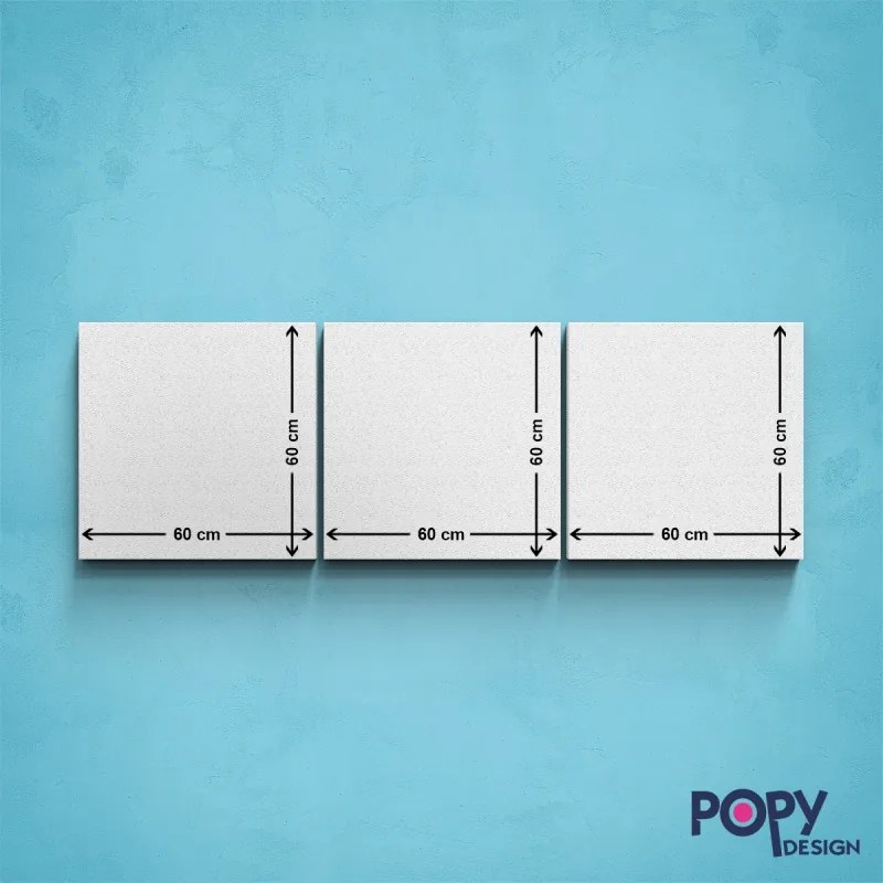 3-dílný obraz - Veverka - PopyDesign
