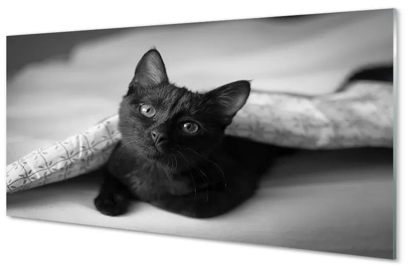 akrylový obraz Kočka pod přikrývkou 125x50 cm