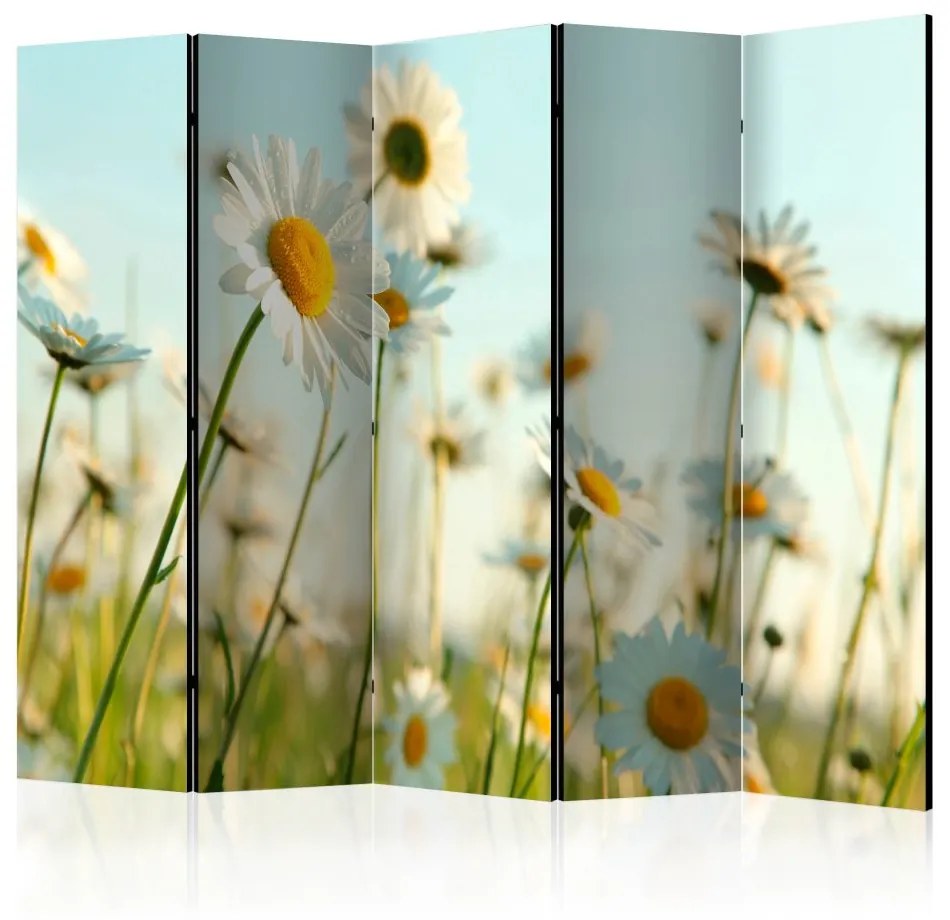 Paraván Daisies - spring meadow Dekorhome 225x172 cm (5-dílný)