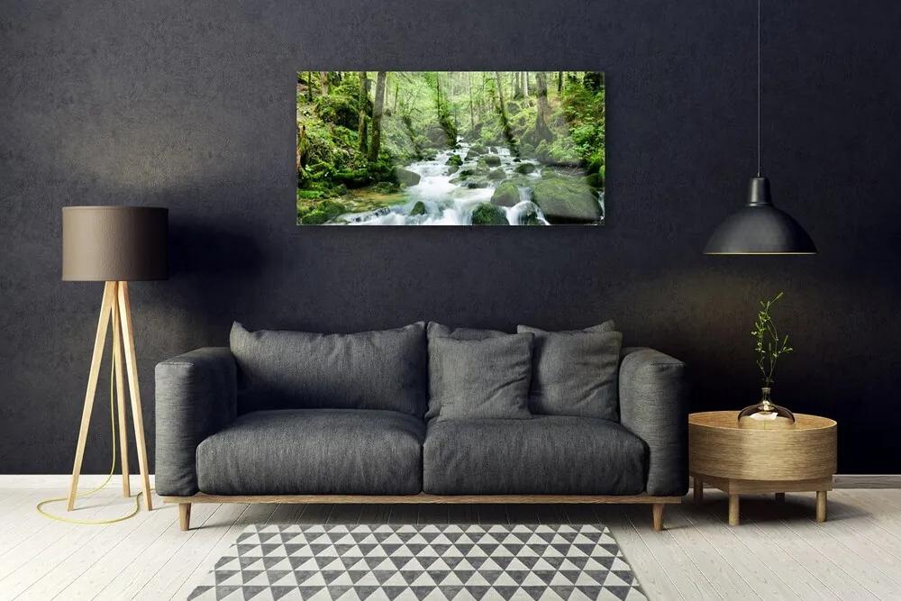 Obraz na skle Les Potok Vodopády Řeka 140x70 cm