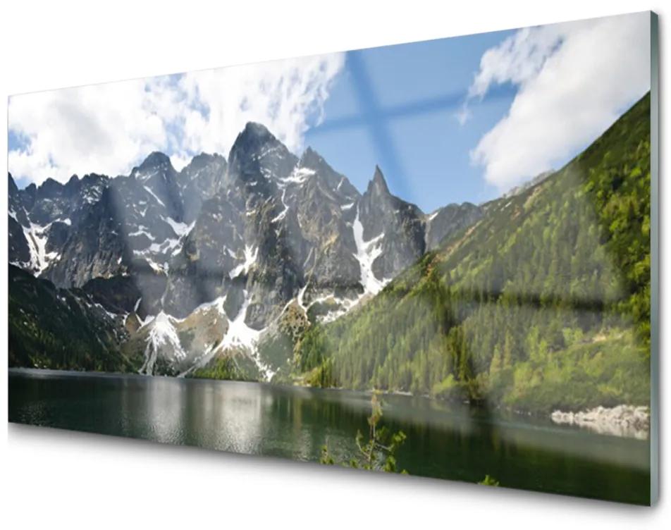 Obraz na skle Hora Jezero Les Krajina