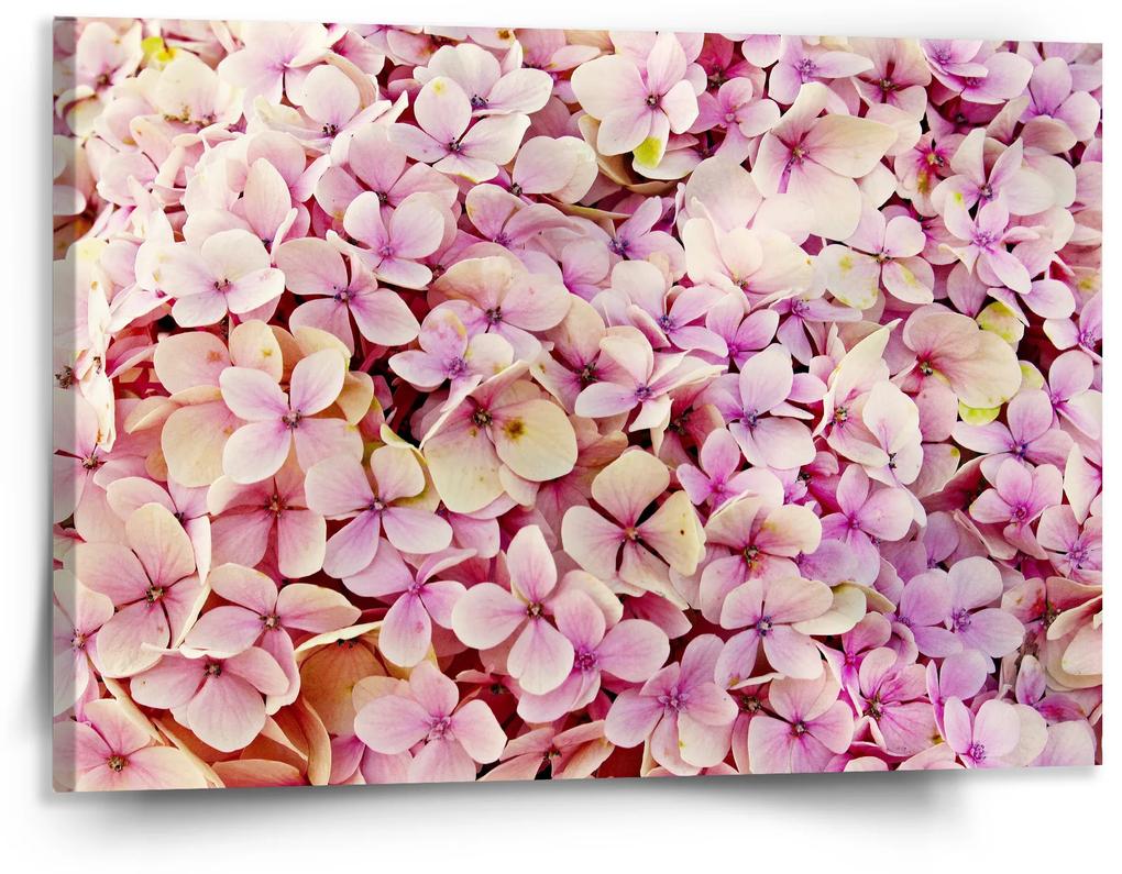Obraz - Růžové květy 150x110 cm
