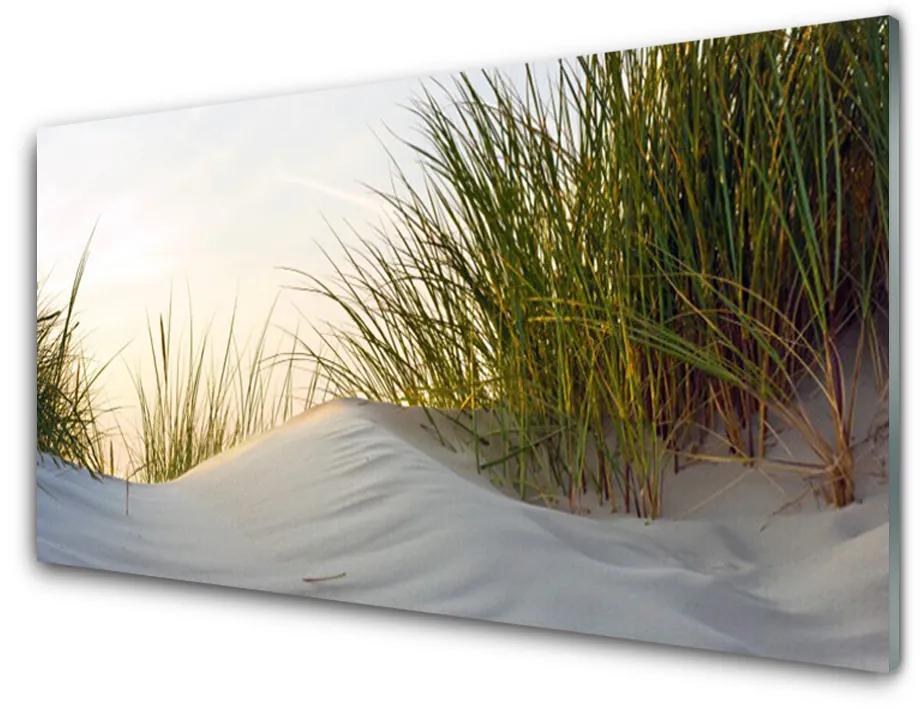 akrylový obraz Písek Tráva Krajina 125x50 cm