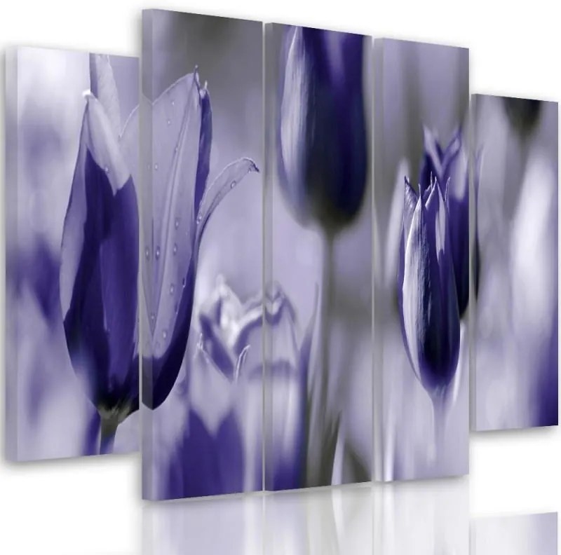 CARO Obraz na plátně - Ultramarine Tulips 150x100 cm