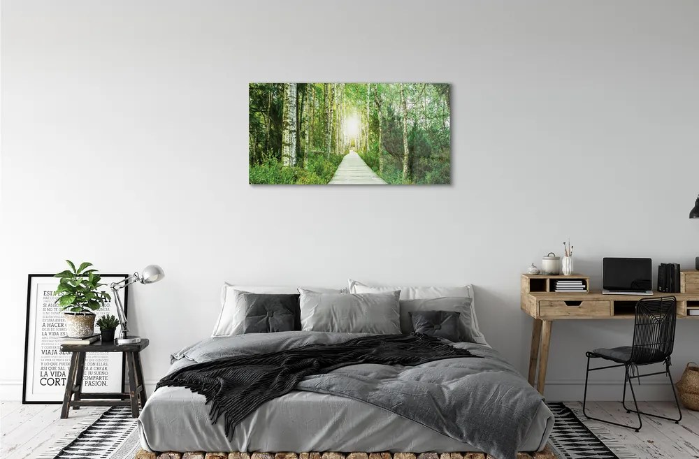 Obraz na skle Bříza lesní cesta 125x50 cm