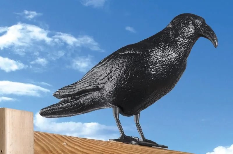 TORO Odpuzovač holubů - maketa havrana 40 cm