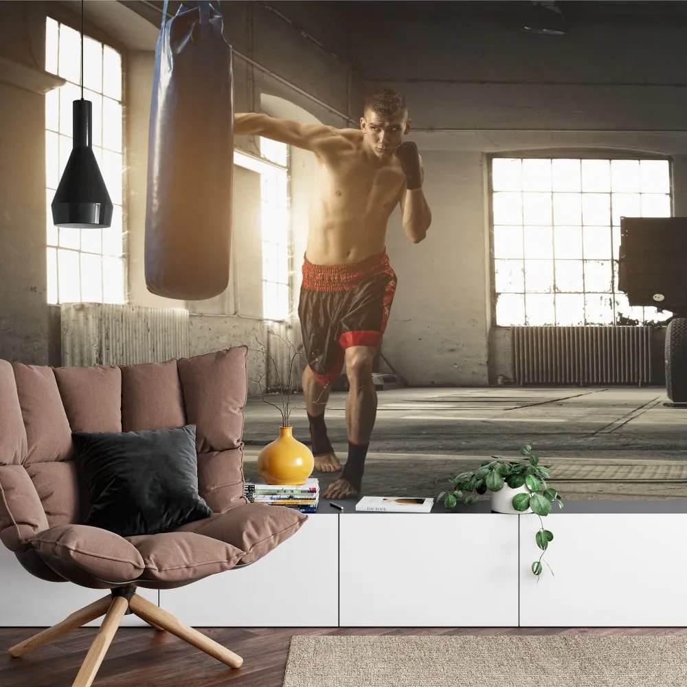 Fototapeta Tréninkový Boxer Strukturální vinyl 90x60