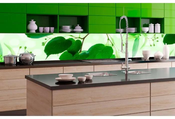 DIMEX | Fototapeta do kuchyně Zelené listy KI-350-010 | 350 x 60 cm | zelená