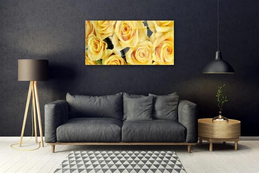 akrylový obraz Růže Květiny Rostlina 100x50 cm