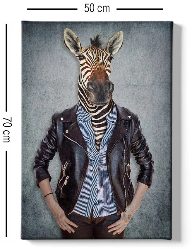 Obraz na plátně Zebra portrait 50x70 cm