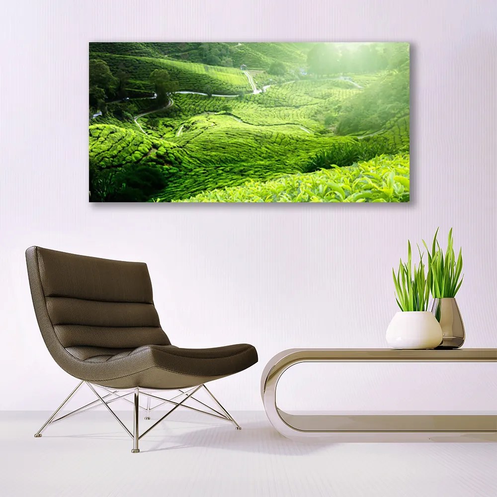 akrylový obraz Louka Příroda 120x60 cm