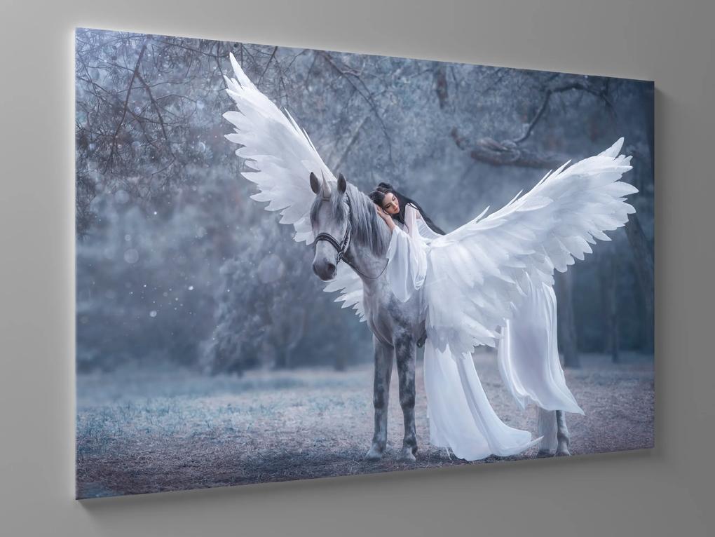 Liox Obraz okřídlený jednorožec a žena Rozměr: 150 x 100 cm