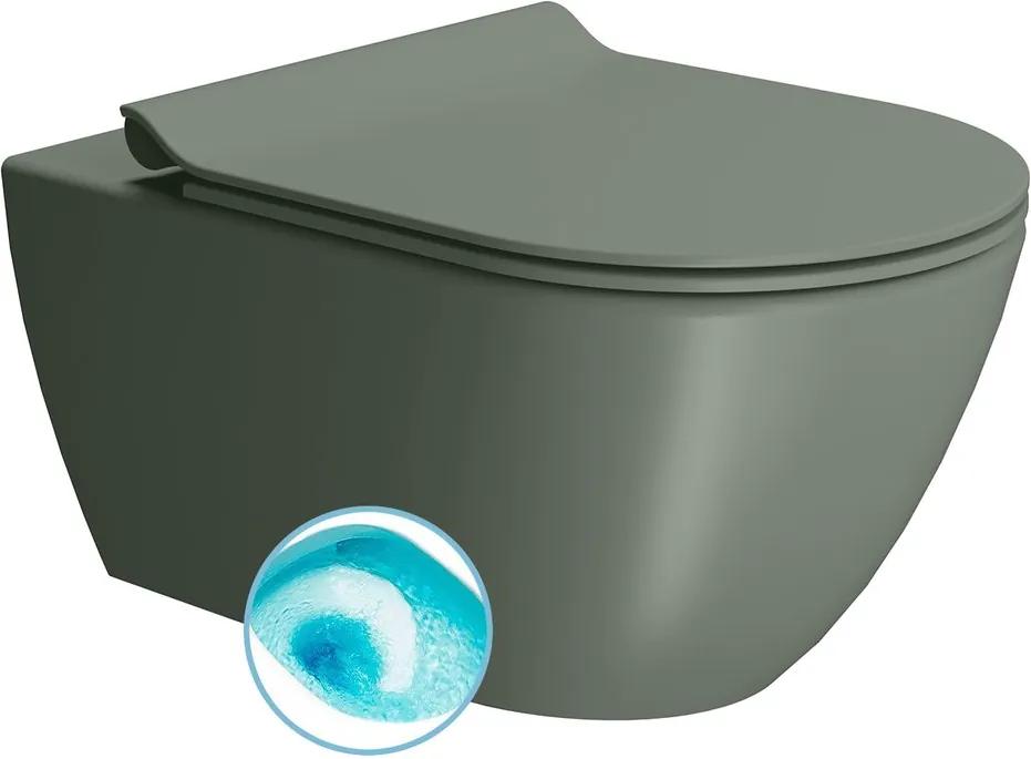 GSI Color Elements Pura WC závěsné, splachování SWIRLFLUSH, 55x36 cm, agave dual-mat, 881504