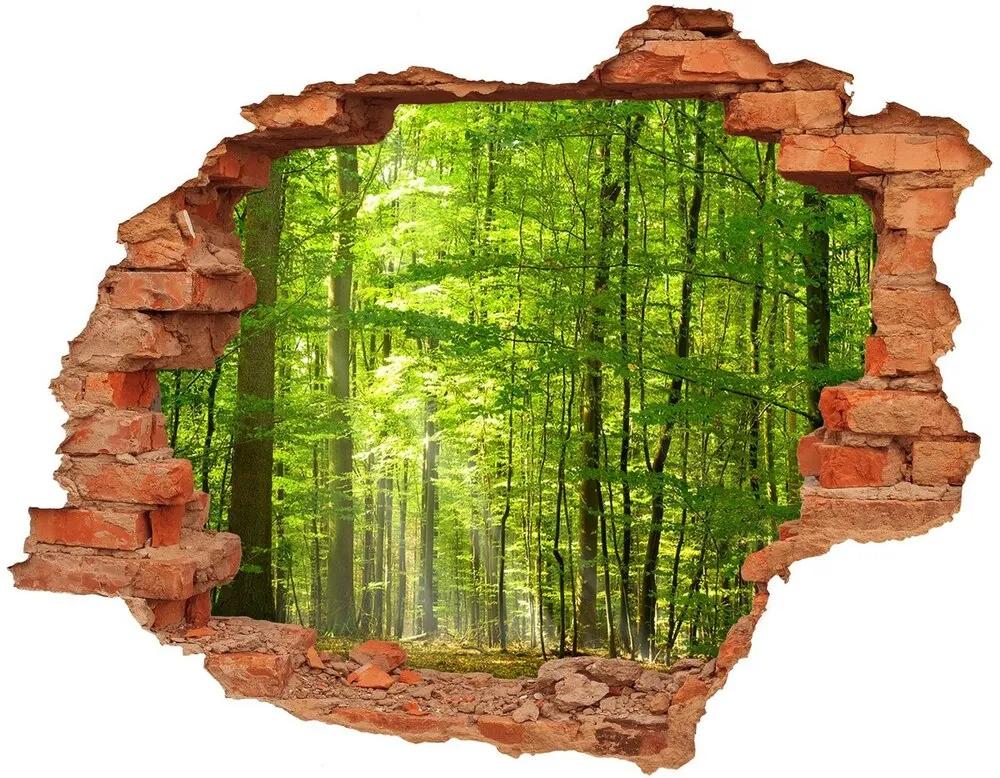 Wallmuralia Díra 3D ve zdi na stěnu Listnatý les 90x70 cm