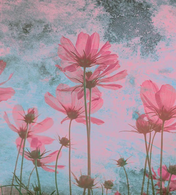 DIMEX | Vliesová fototapeta na zeď Abstrakt růžové květy MS-3-0362 | 225 x 250 cm | růžová, modrá, vícebarevná
