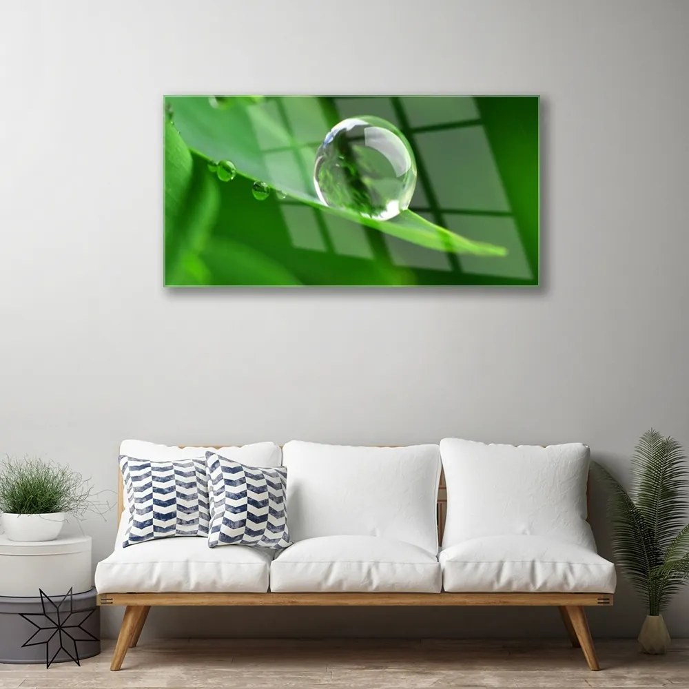 Obraz na skle List Voda Kapka Rostlina 140x70 cm