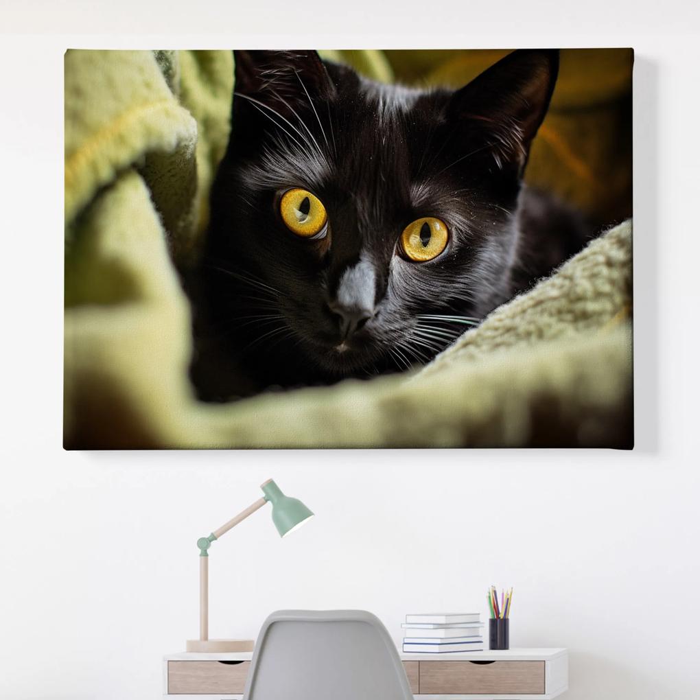 Obraz na plátně - Najdi kočku, černá kočka v zelené dece FeelHappy.cz Velikost obrazu: 120 x 80 cm