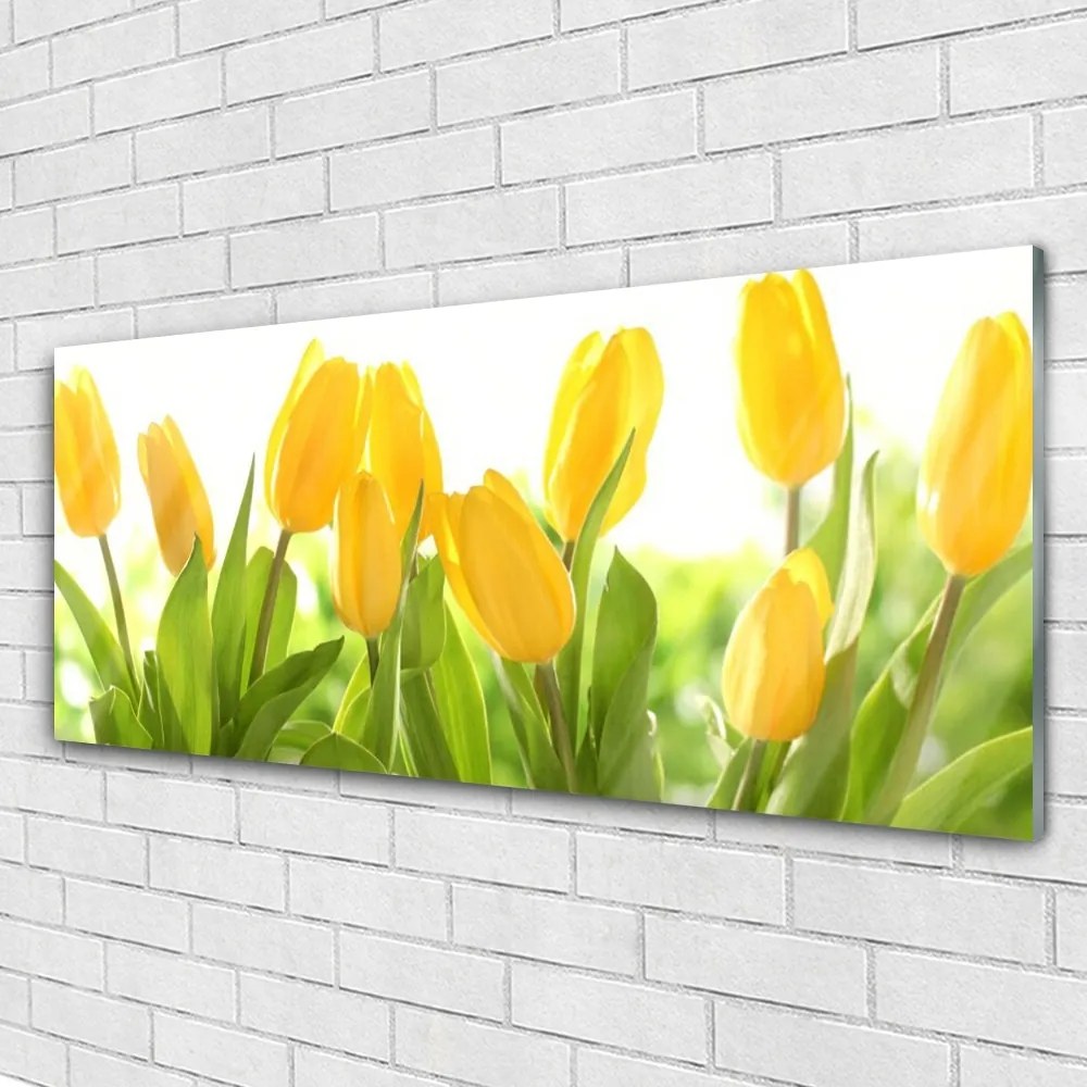 akrylový obraz Tulipány Květiny Rostlina 125x50 cm