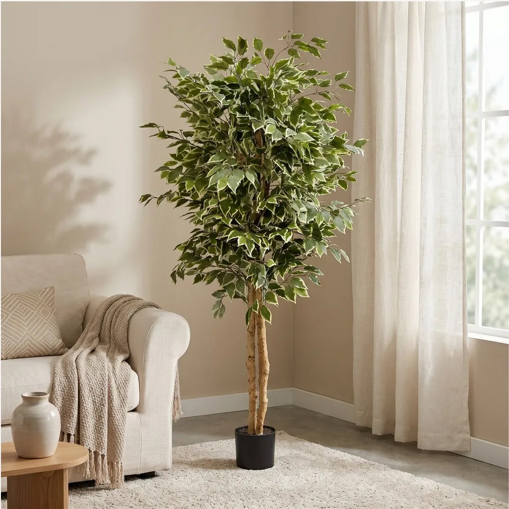 Umělý Ficus Twilight 160 cm