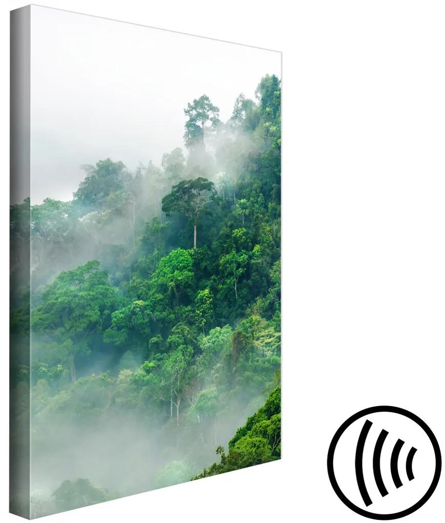 Obraz Příroda v mlžné krajině (1-dílný) - džungle a bujná rostlinnost