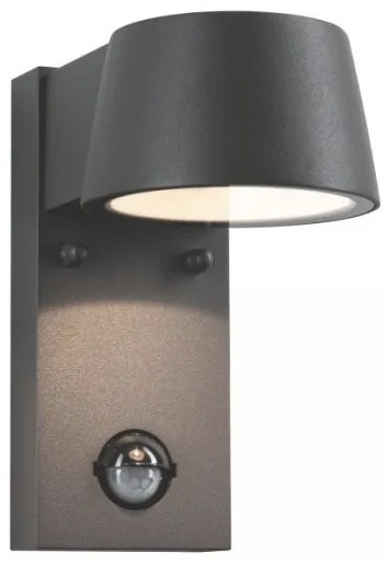 Paulmann 94453 - LED/6W IP44 Venkovní nástěnné svítidlo se senzorem CAPEA 230V