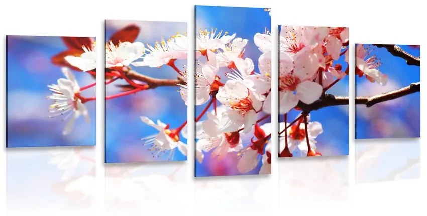 5-dílný obraz třešňový květ Varianta: 200x100