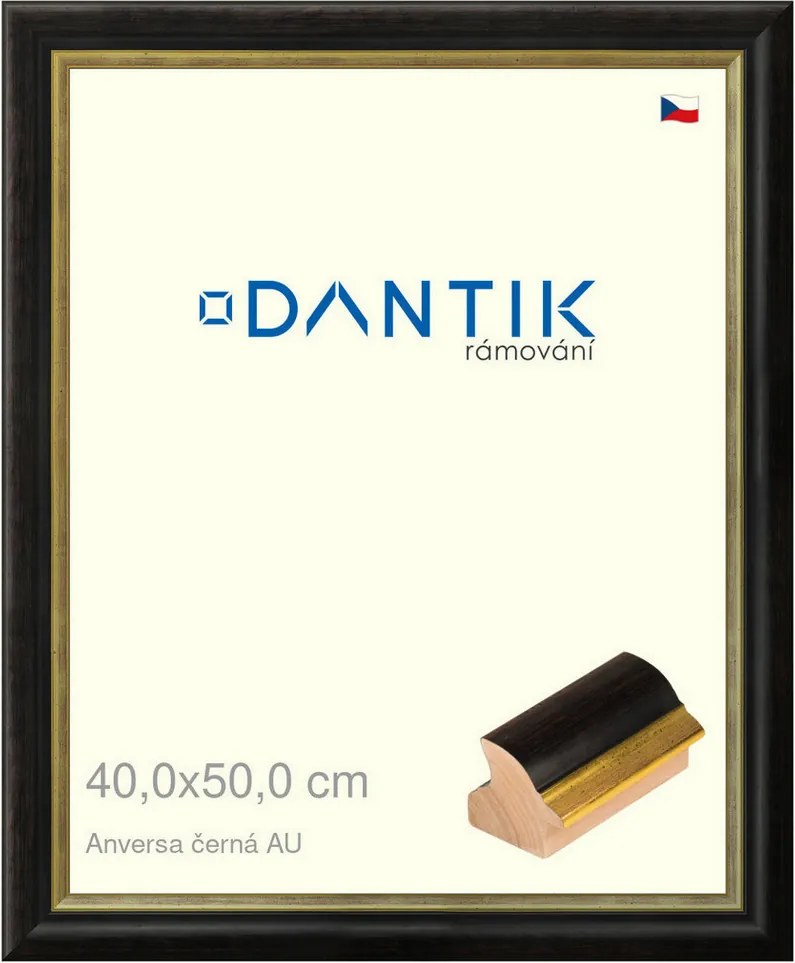 DANTIK rámeček 40x50 | ANIVERSA černá AU (Plexi Čiré)
