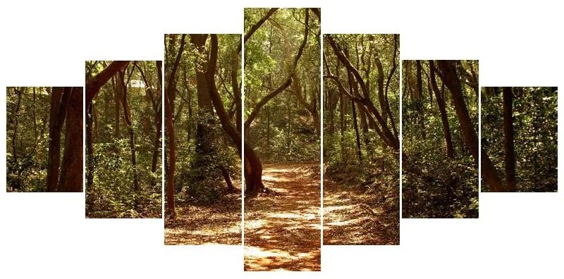 Obraz listnatého lesa (210x100 cm), 40 dalších rozměrů
