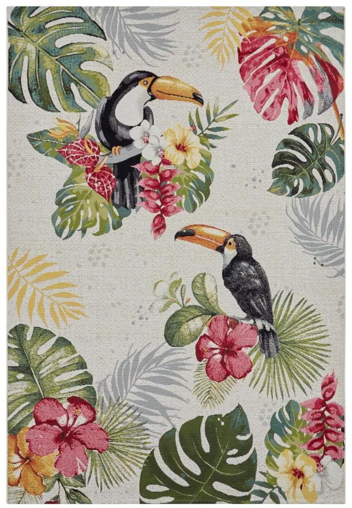 Hanse Home Collection koberce Kusový koberec Flair 105608 Tropical Dream Creme Multicolored – na ven i na doma - 80x165 cm