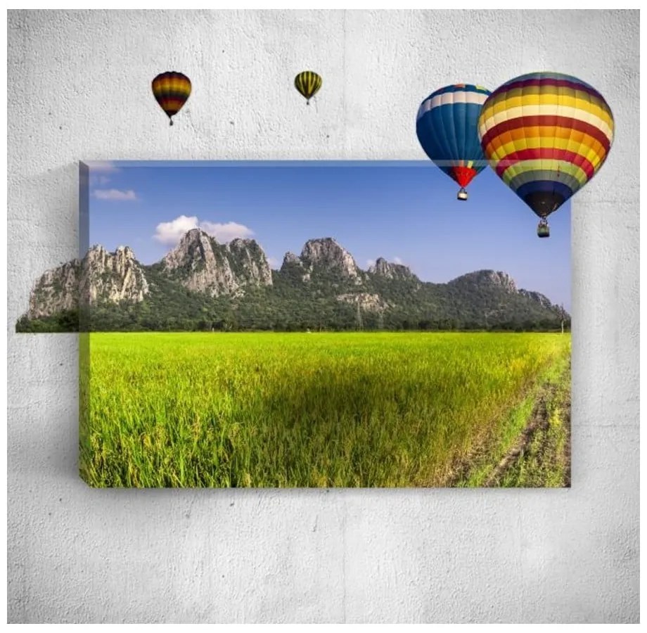 Nástěnný 3D obraz Mosticx Air Balloons, 40 x 60 cm