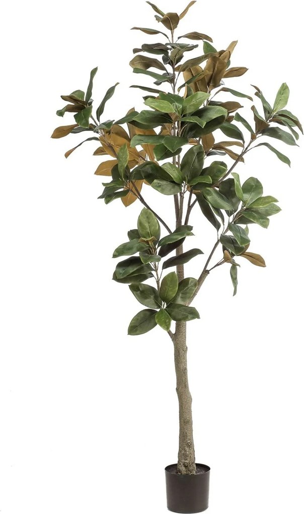 Magnolia Denudata umělá V 180 cm