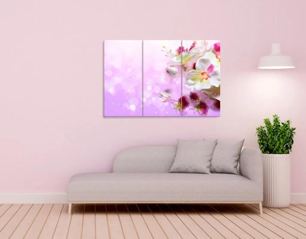 Malvis ® Vícedílný obraz - Orchidej fantazie Velikost: 90x60 cm