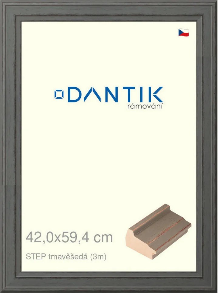 DANTIK rámeček 42x59,4 | STEP tmavěšedá (Plexi Čiré)