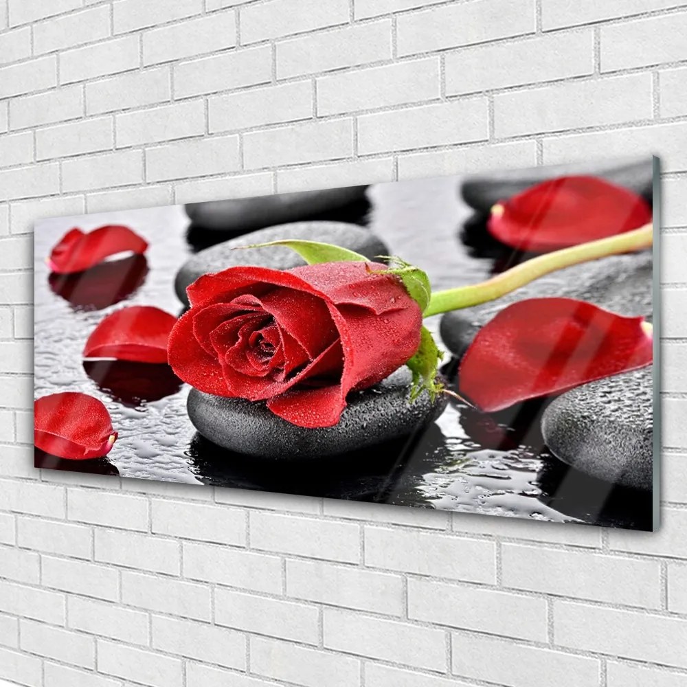 Plexisklo-obraz Růže Květ Kameny Zen 125x50 cm