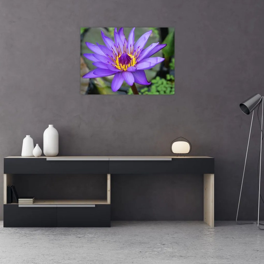 Skleněný obraz - Fialová květina (70x50 cm)