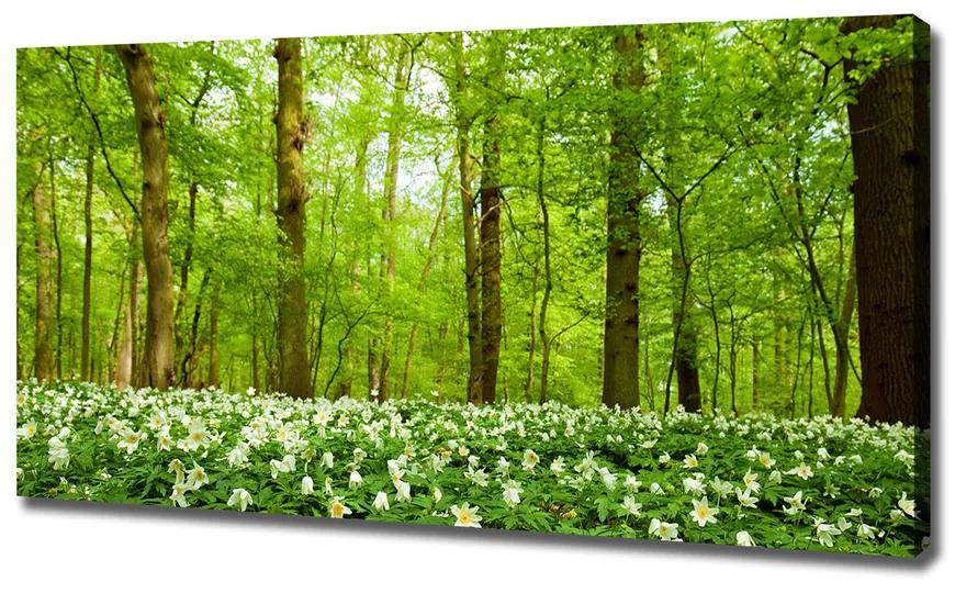 Wallmuralia Foto obraz na plátně Květiny v lese 120x60 cm
