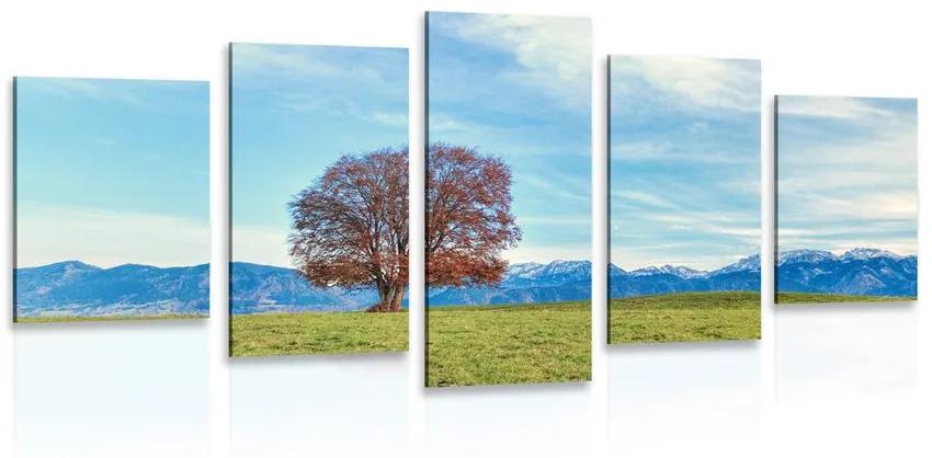 5-dílný obraz panorama hor Varianta: 100x50