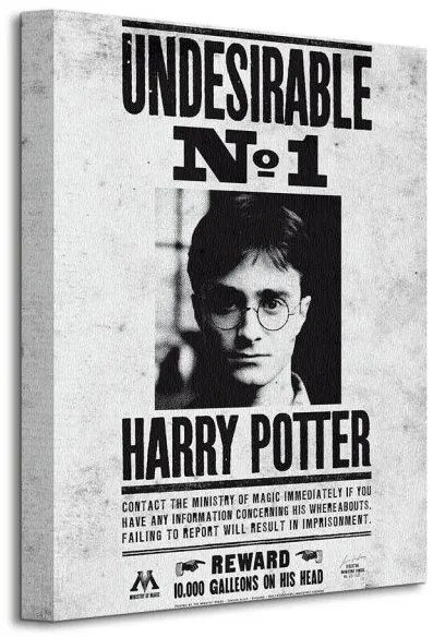 Obraz na plátně Harry Potter (undesirable No.1) 30x40cm WDC92235