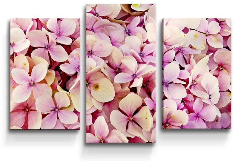 Sablio Obraz - 3-dílný Růžové květy - 75x50 cm