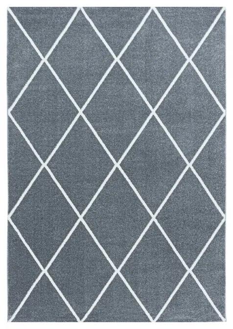 Kusový koberec Rio 4601 silver (Varianta: 80 x 250 cm)