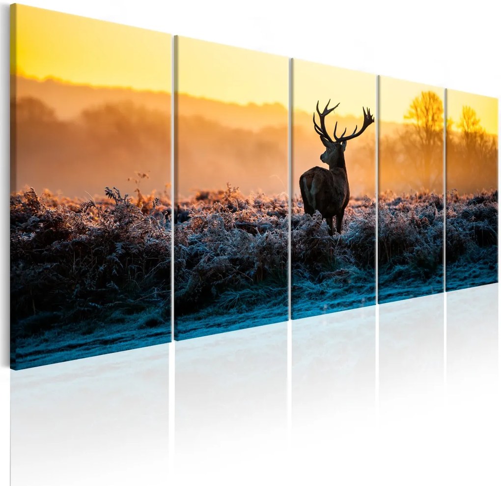 Obraz jelen v krajině + háčky a hřebíčky ZDARMA Velikost (šířka x výška): 225x90 cm