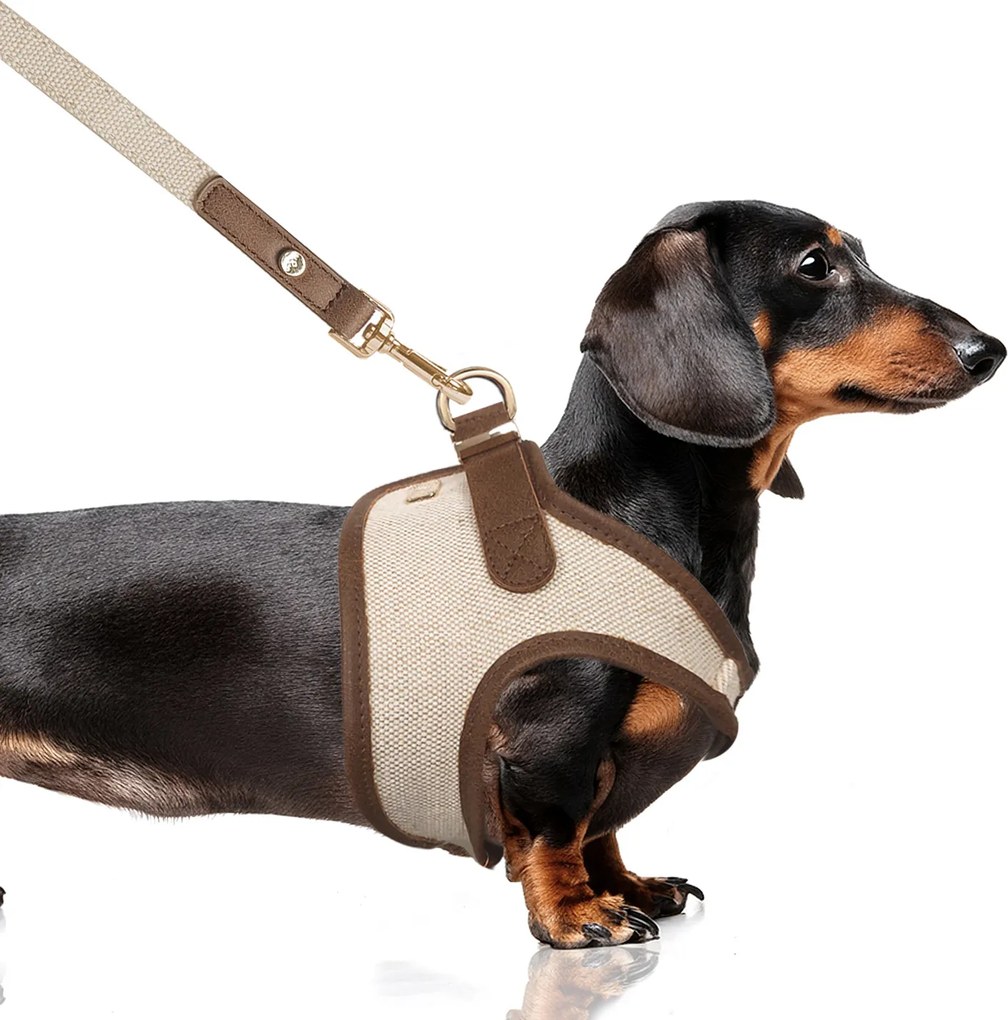 MILK&PEPPER Postroj pro psy Java Velikost: 29