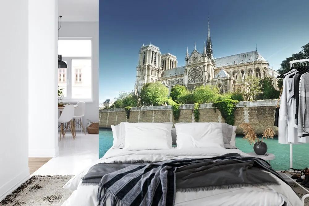 Fototapeta Paříž – Notre-Dame Omyvatelný vlies 450x300