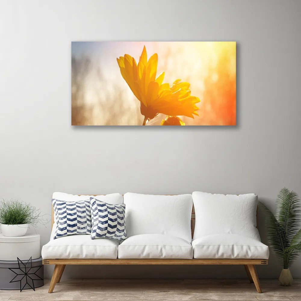 Obraz na plátně Slunečnice 100x50 cm