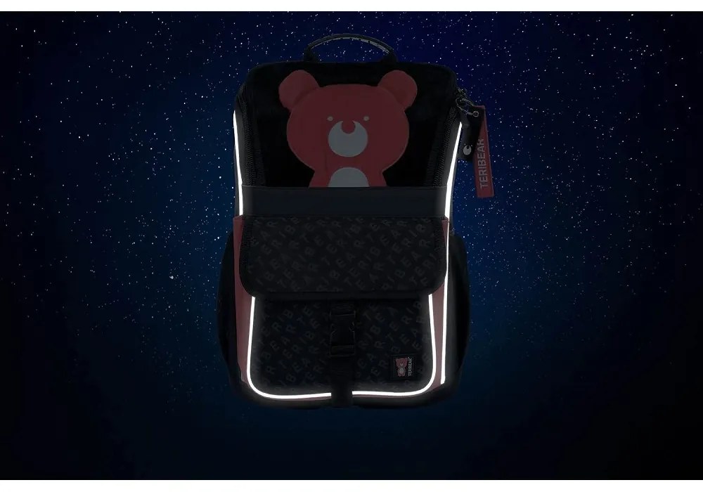 BAAGL Školní aktovka Zippy Teribear