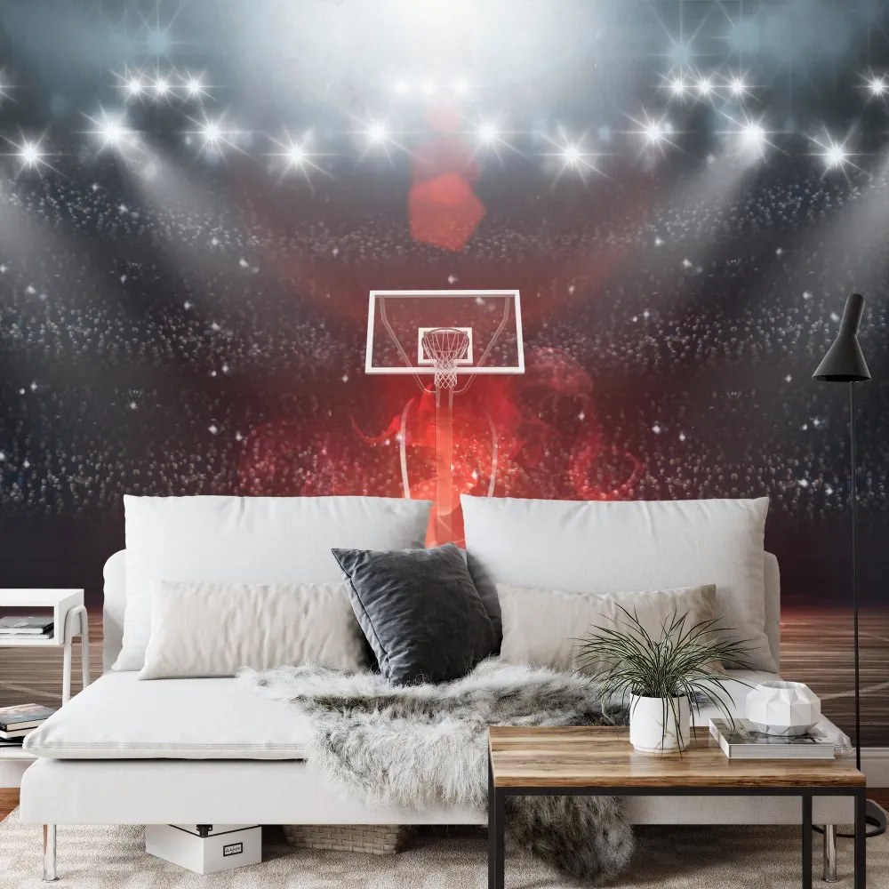 Fototapeta Futuristické Basketbalové Hřiště Hladký vinyl 208x146