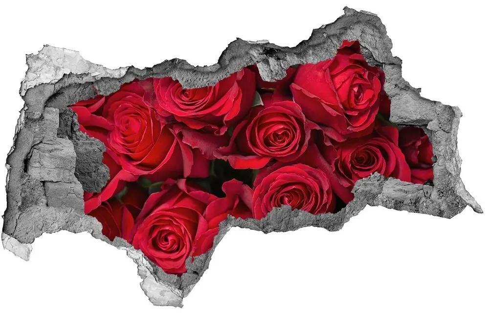 Wallmuralia Samolepící díra nálepka Červené růže 95x73 cm